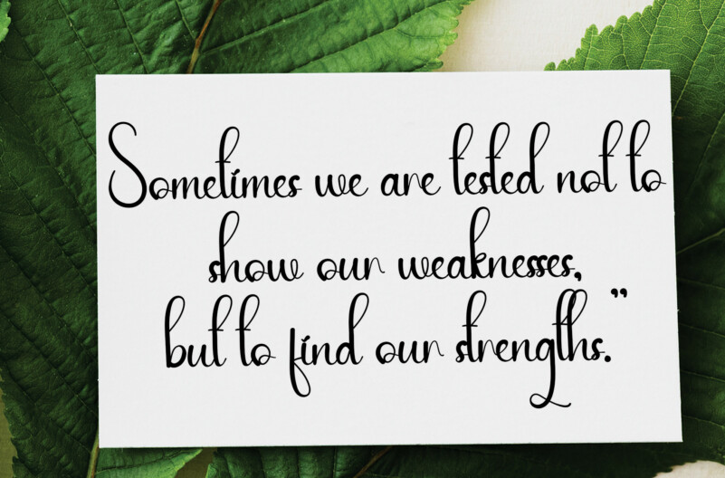 January Script Font - Download Free Font