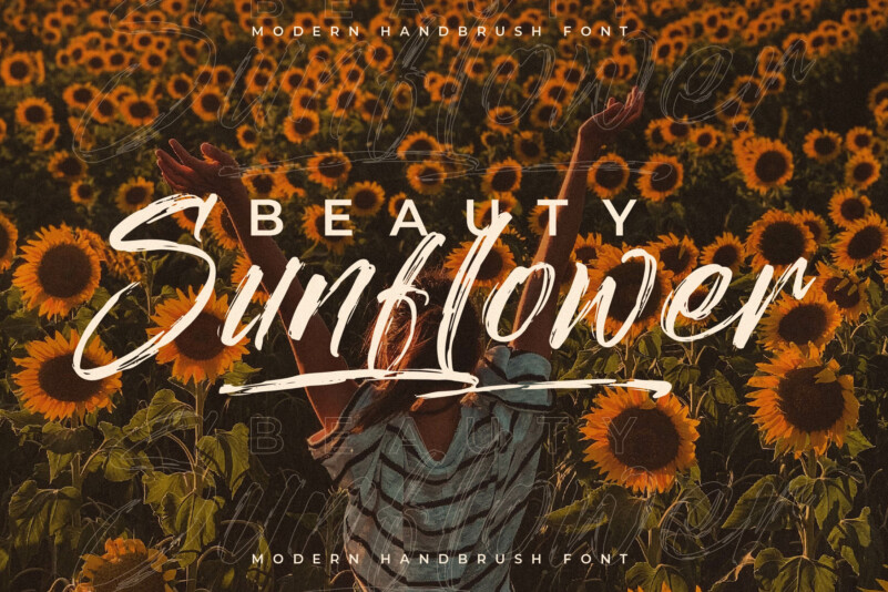 Calderyon Font - Download Free Font