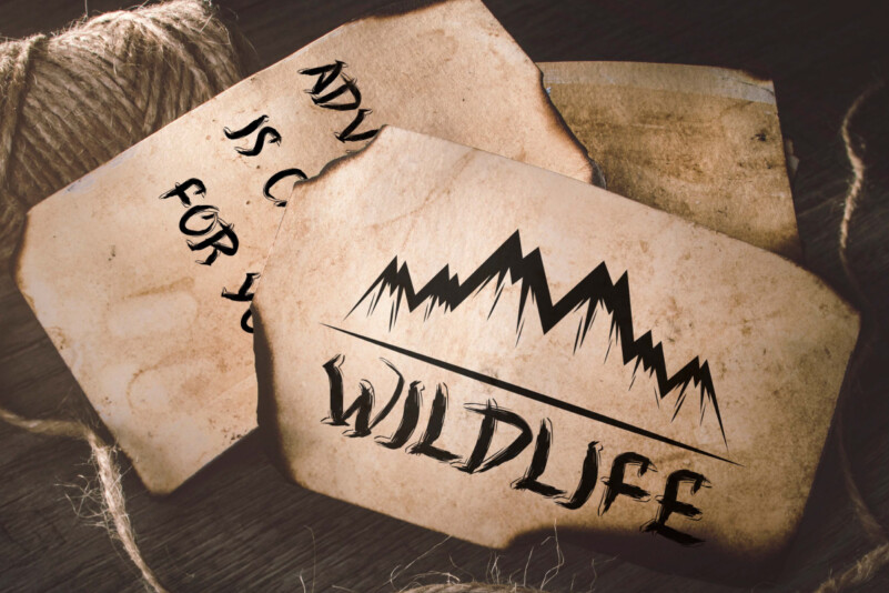 RIP Privacy Font - Download Free Font