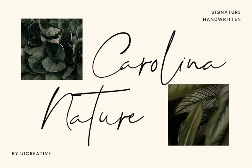 Shadhowiest Font - Download Free Font