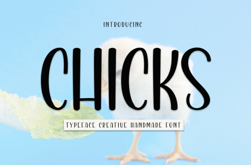 Chicks Display Font - Download Free Font