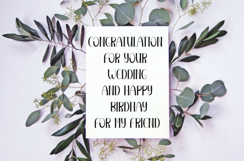 Backdrop Display Font - Download Free Font