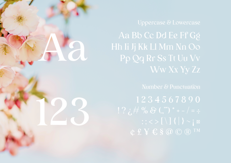 Bunga Zivilia Font - Download Free Font