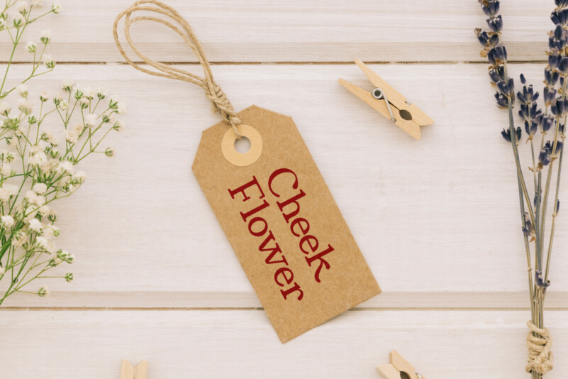 Cheek Flower Font - Download Free Font