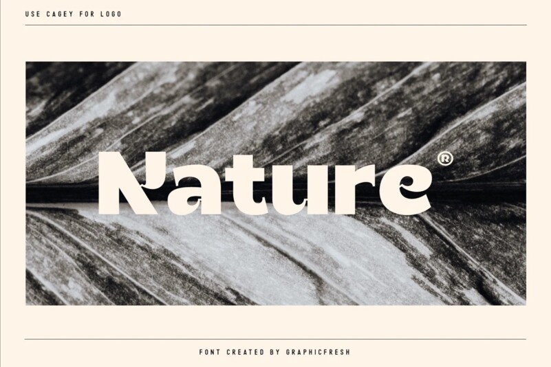 Cagey Font - Download Free Font