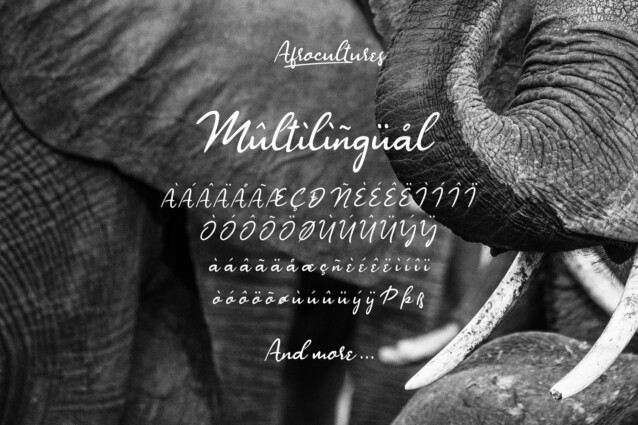 Afrocultures Font - Download Free Font