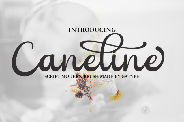 Caneline Script Font - Download Free Font
