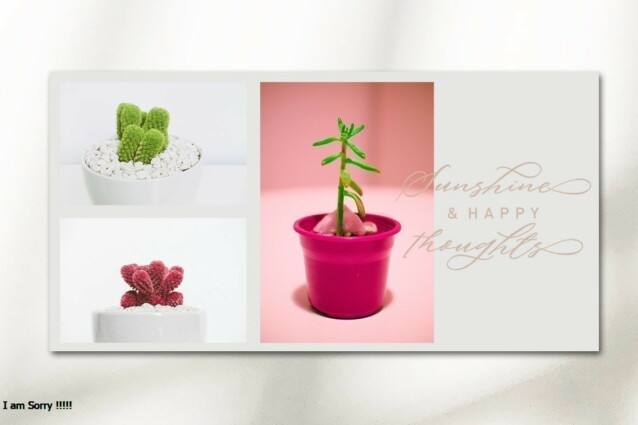 Anthony Script Font - Download Free Font