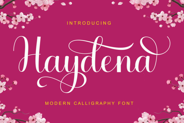 Haydena Font - Befonts