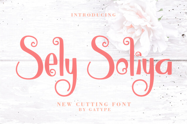 Sely Soliya Font - Download Free Font