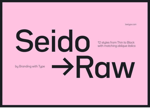 Bw Seido Raw Font Family - Befonts