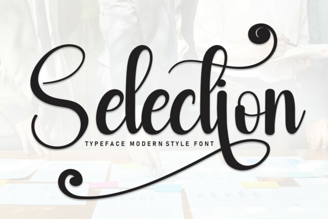 Selection Script Typeface - Download Free Font