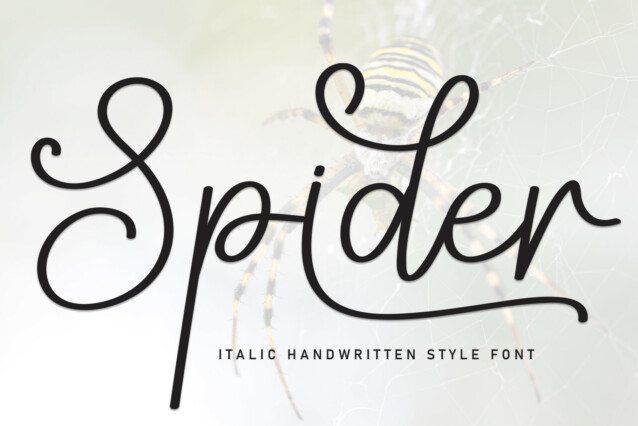 Spider Script Font - Download Free Font