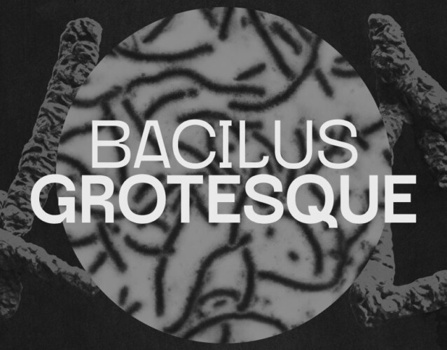 Bacilus Grotesque Font Family - Befonts
