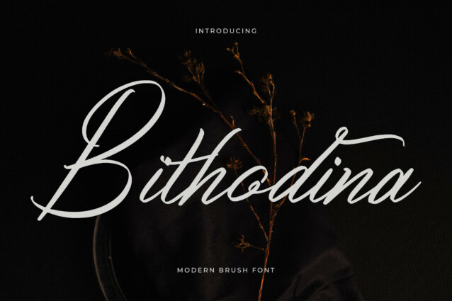 Bithodina Font - Download Free Font