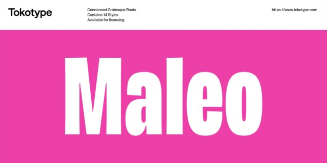 Maleo Font Family - Download Free Font
