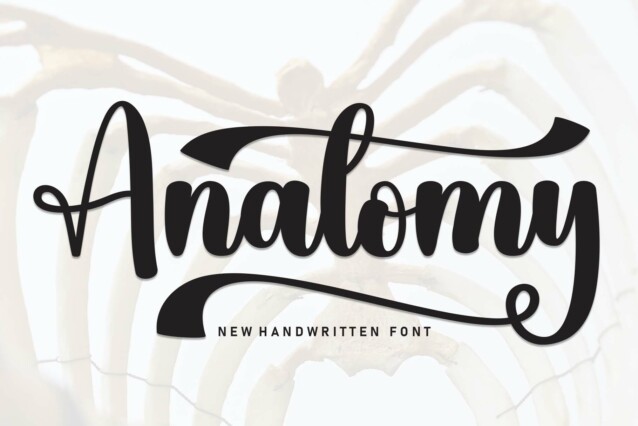 Anatomy Font - Befonts