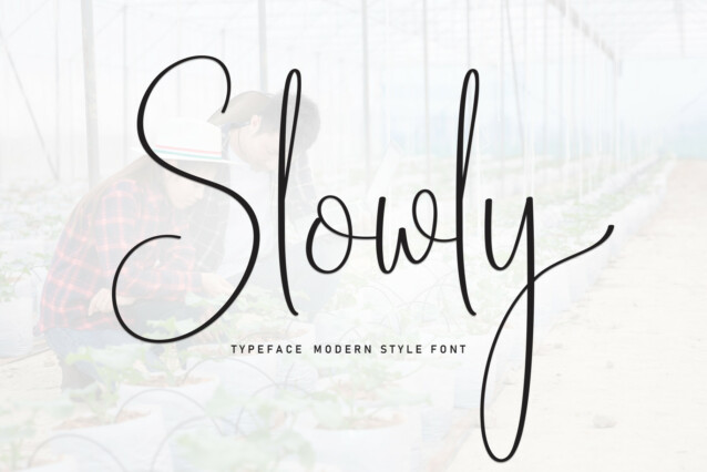 Slowly Script Typeface - Download Free Font