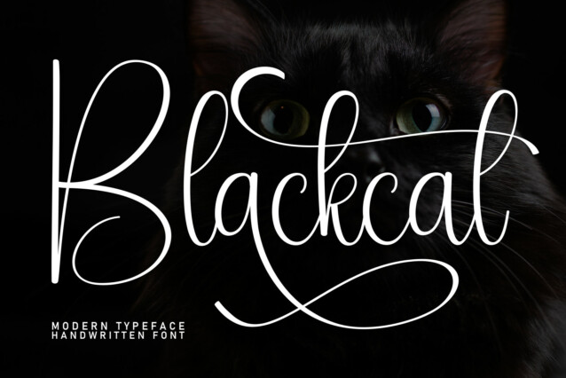 Blackcat Script Font - Download Free Font