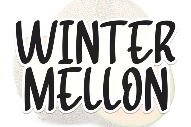 Winter Melon Brush Font - Download Free Font