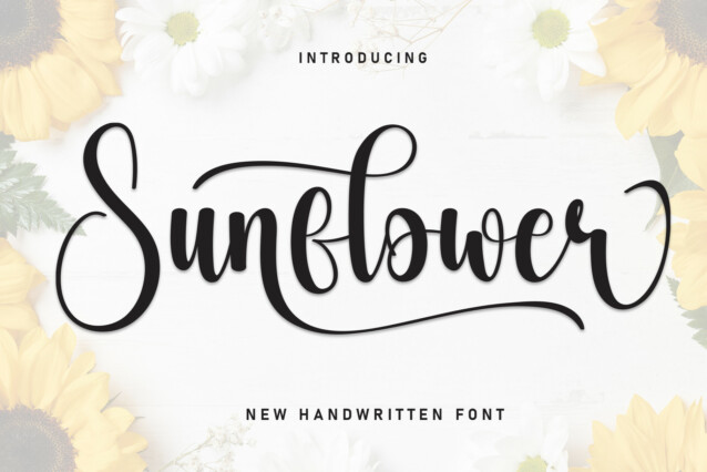 Sunflower Script Typeface - Download Free Font