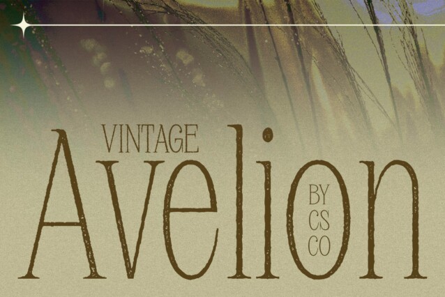 Avelion Vintage Font - Befonts
