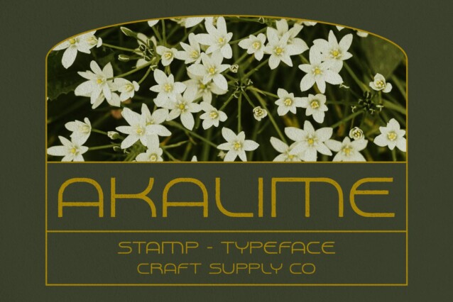 Akalime Stamp Font - Download Free Font