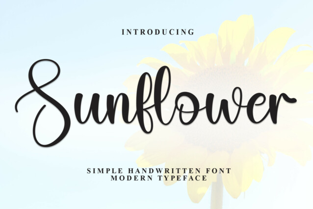 Sunflower Calligraphy Typeface - Download Free Font