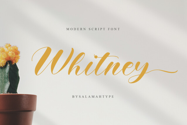 Whitney Font - Befonts