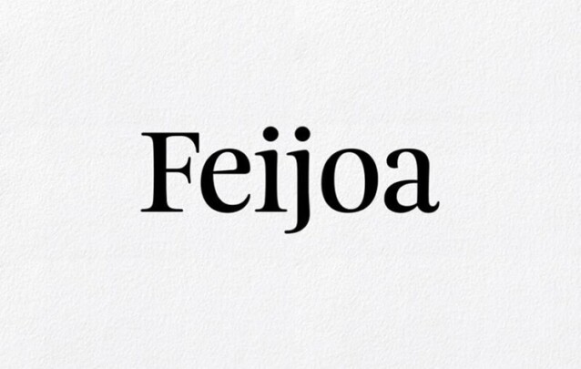 Feijoa Font Family - Befonts