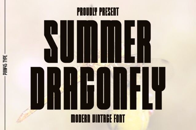 Summer Dragonfly Font - Download Free Font