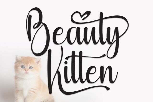 Beauty Kitten Script Font - Download Free Font
