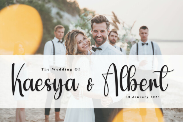 February Script Font - Download Free Font