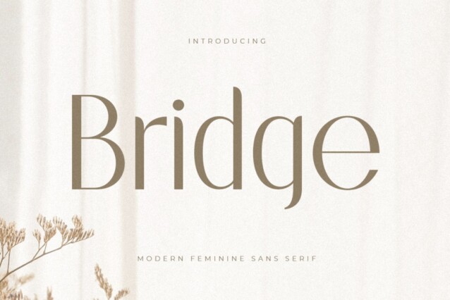 Bridge Sans Serif Font - Download Free Font