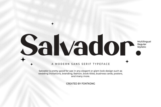 Salvador Typeface - Download Free Font
