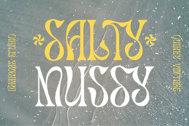 Salty Mussy Display Font - Download Free Font