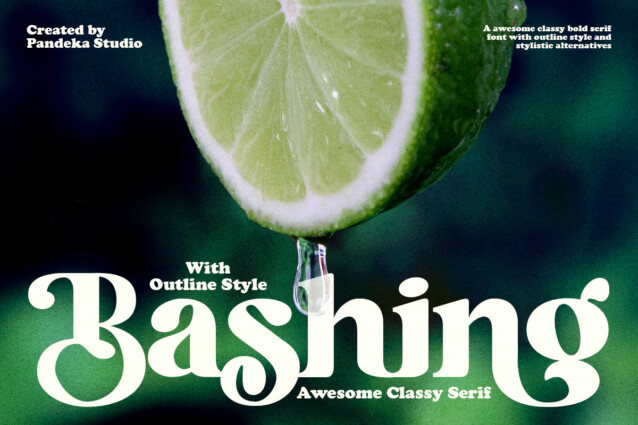 Bashing Typeface - Download Free Font