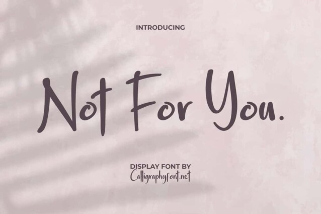 Not For You Font - Download Free Font
