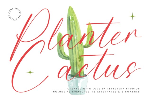 Planter Cactus Font - Download Free Font
