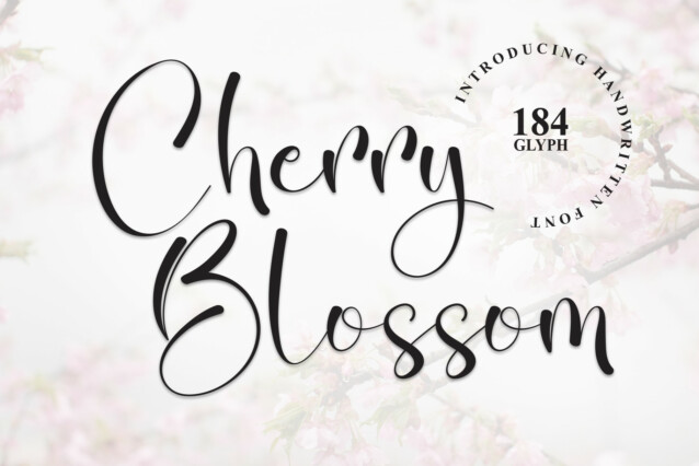 Cherry Blossom Script Font - Befonts
