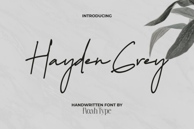 Hayden Grey Font - Download Free Font