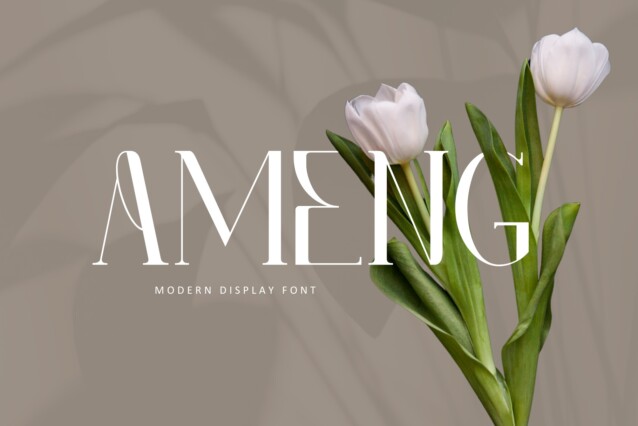 Ameng Font - Download Free Font