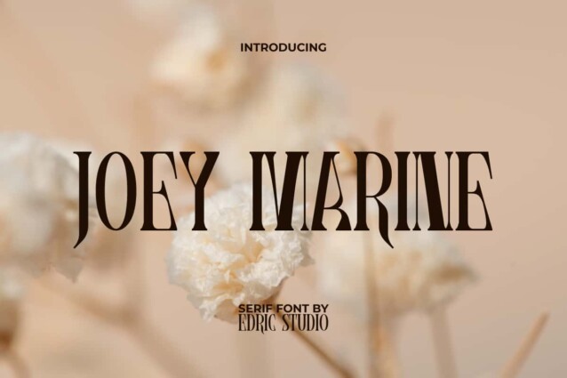 Joey Marine Font - Download Free Font
