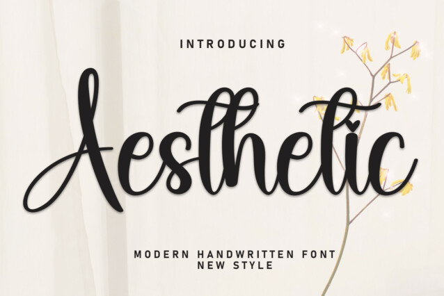 Aesthetic Script Font - Befonts