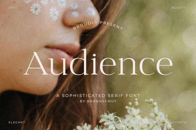 Audience Font - Befonts