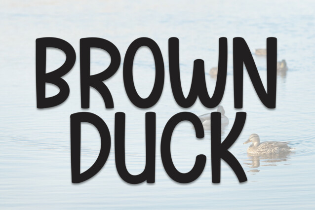 Brown Duck Display Font - Befonts