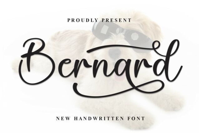 Bernard Calligraphy Font - Befonts