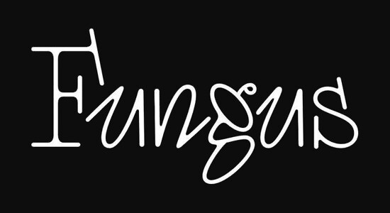 Funtique Typeface → Fungus font? - Download free fonts