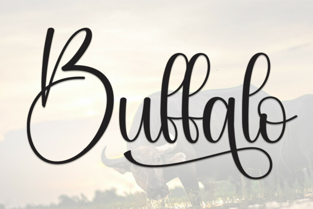 Buffalo Calligraphy Font - Download Free Font