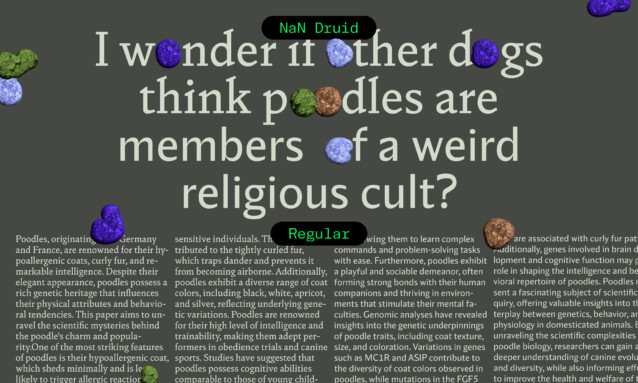 NaN Druid Font Family - Download Free Font